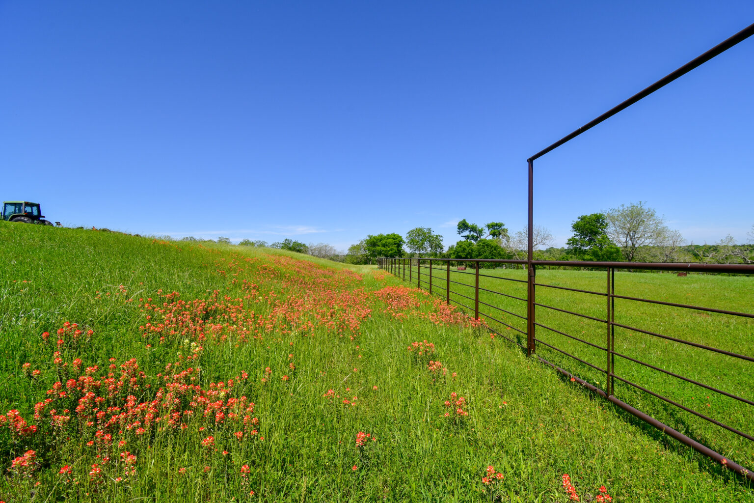 Supporting Healthy Habitat and Spring Range Assessments - Republic Ranches