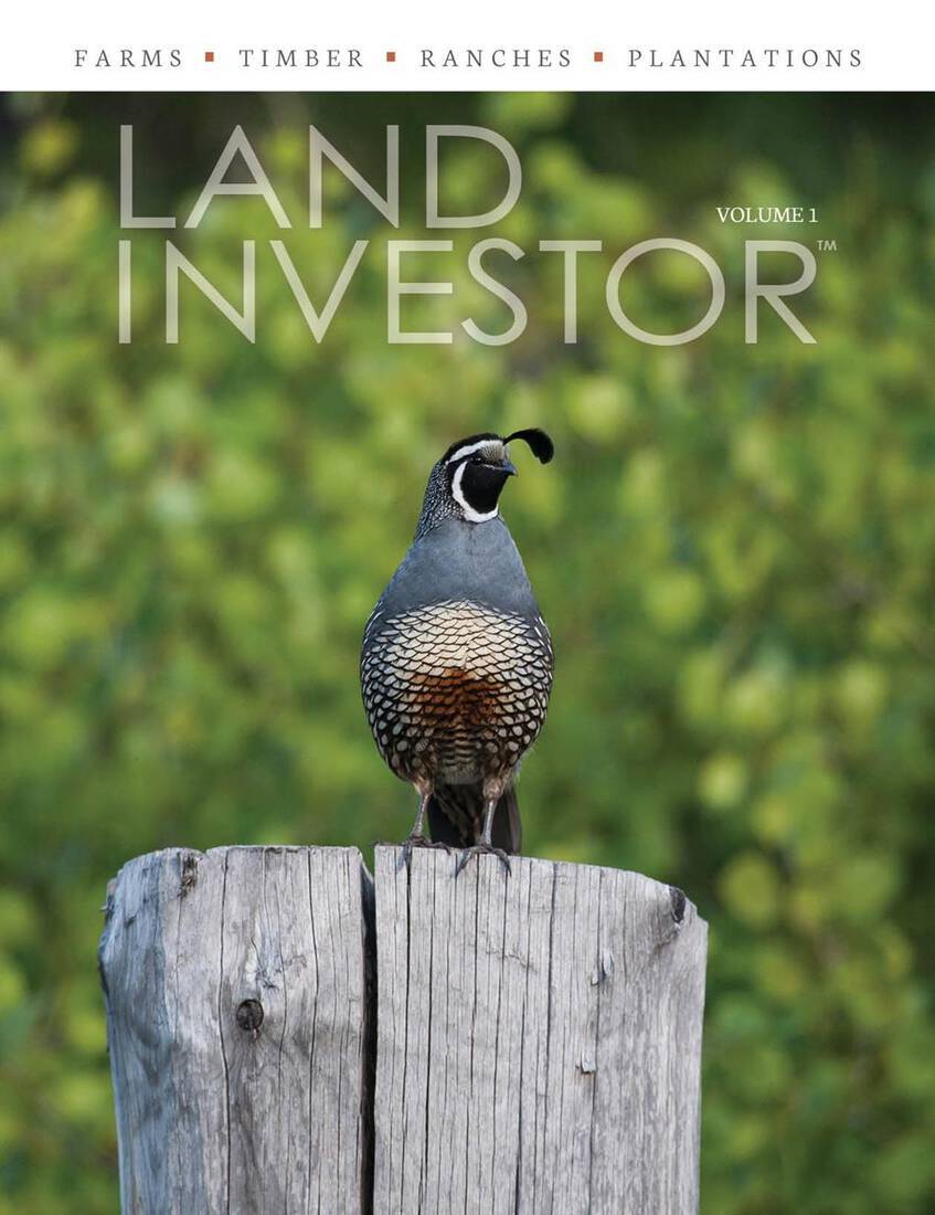 Now Available - "LAND INVESTOR" Magazine - Republic Ranches