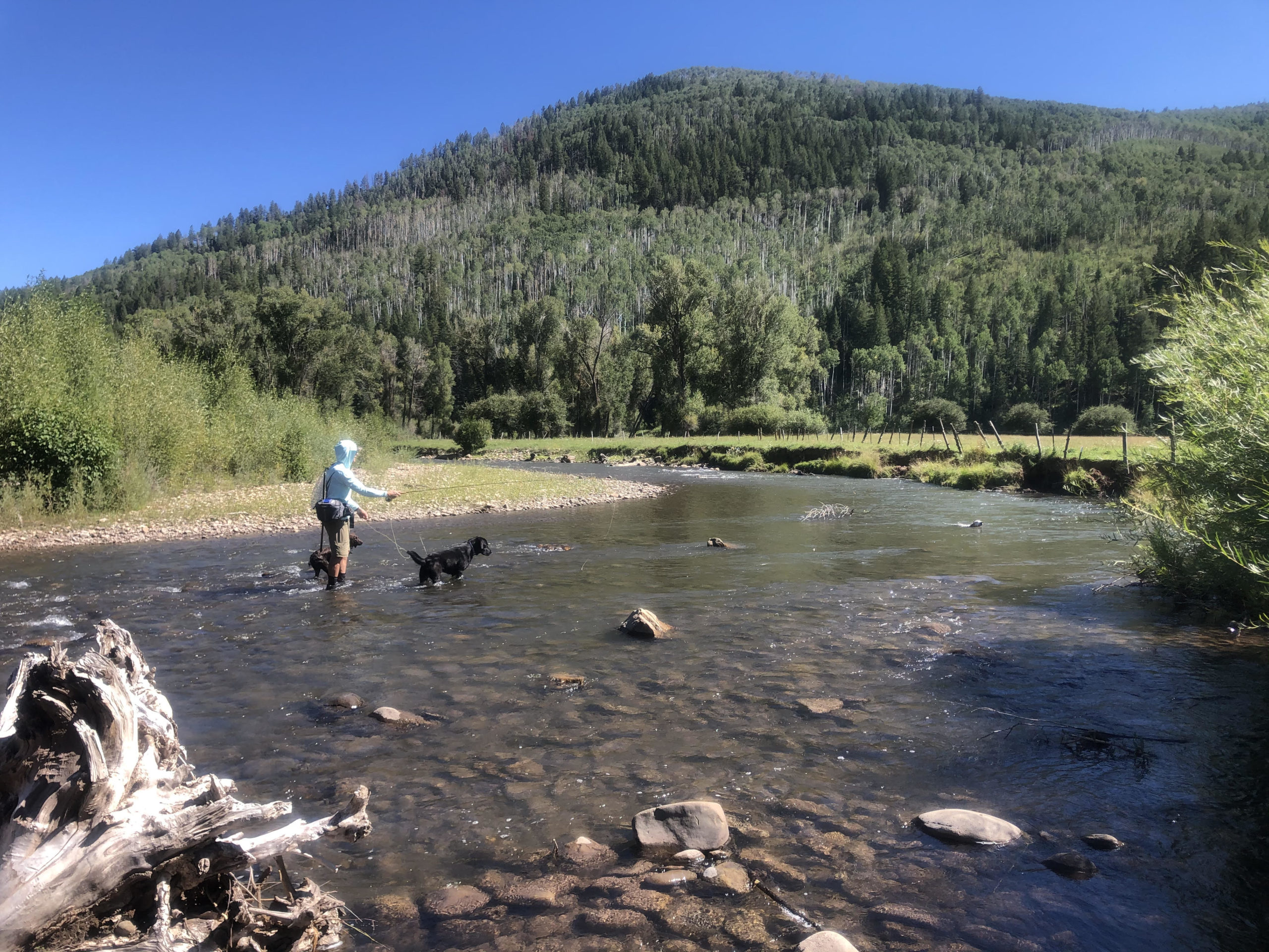 Fishing the Dolores River - Republic Ranches
