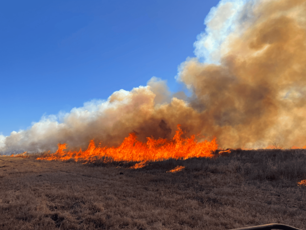 Prescribed Fire | A Habitats Favorite Medicine - Republic Ranches