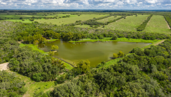 South Texas Ranches For Sale | Republic Ranches Land Sales