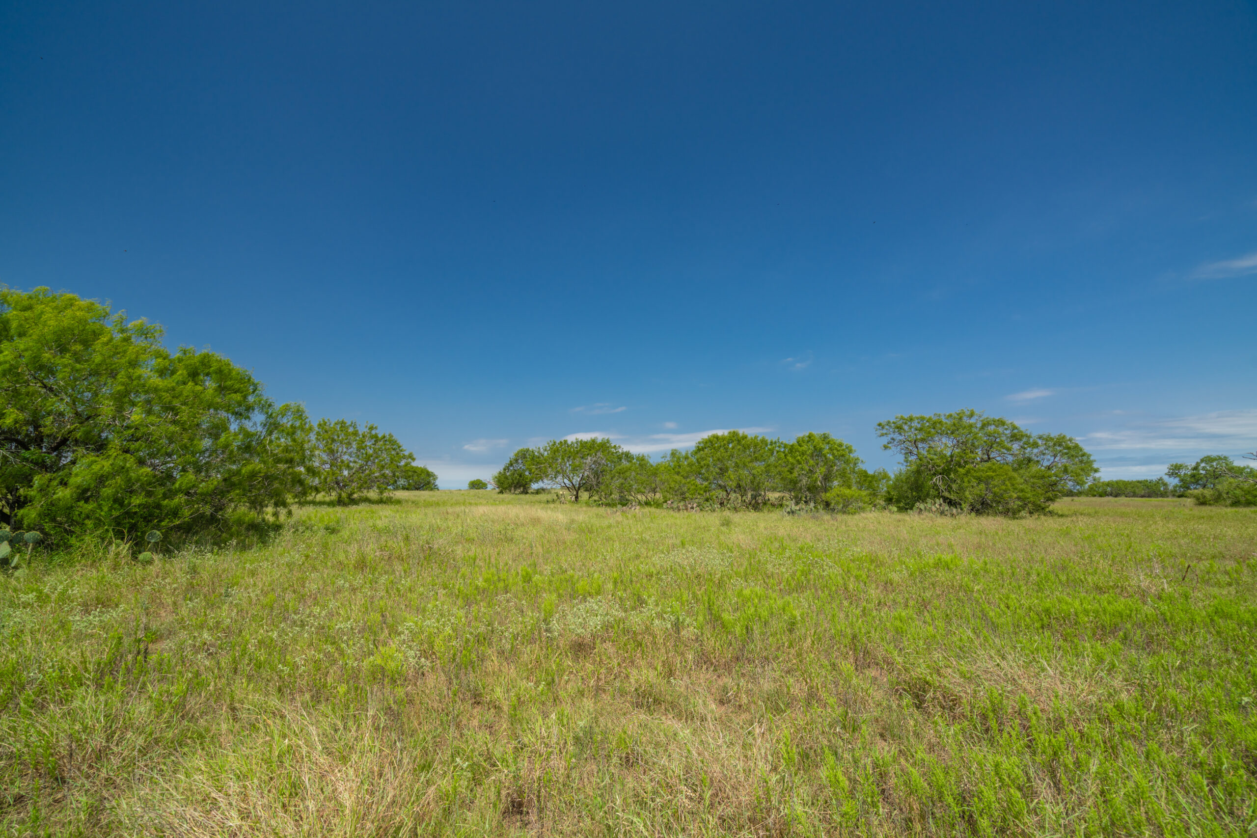 Patron Ranch - Republic Ranches