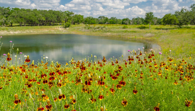 Texas Hill Country Ranches For Sale | Republic Ranches