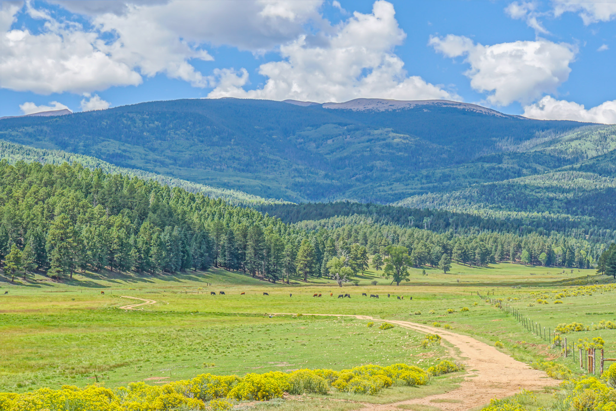Opportunities on Mixed Deeded and Federal Land Lease Ranches: What to ...