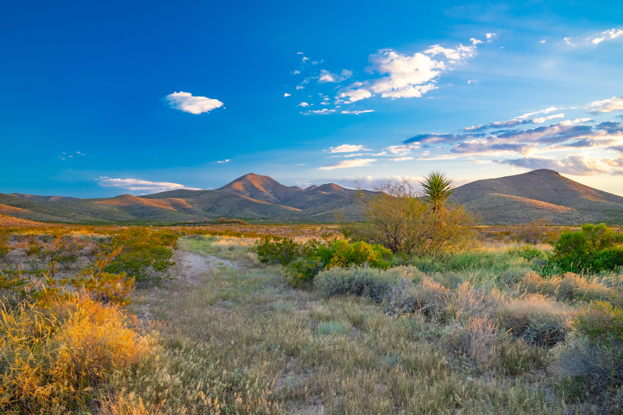 Wylie Mountains Ranch for Sale - Van Horn, TX - Republic Ranches