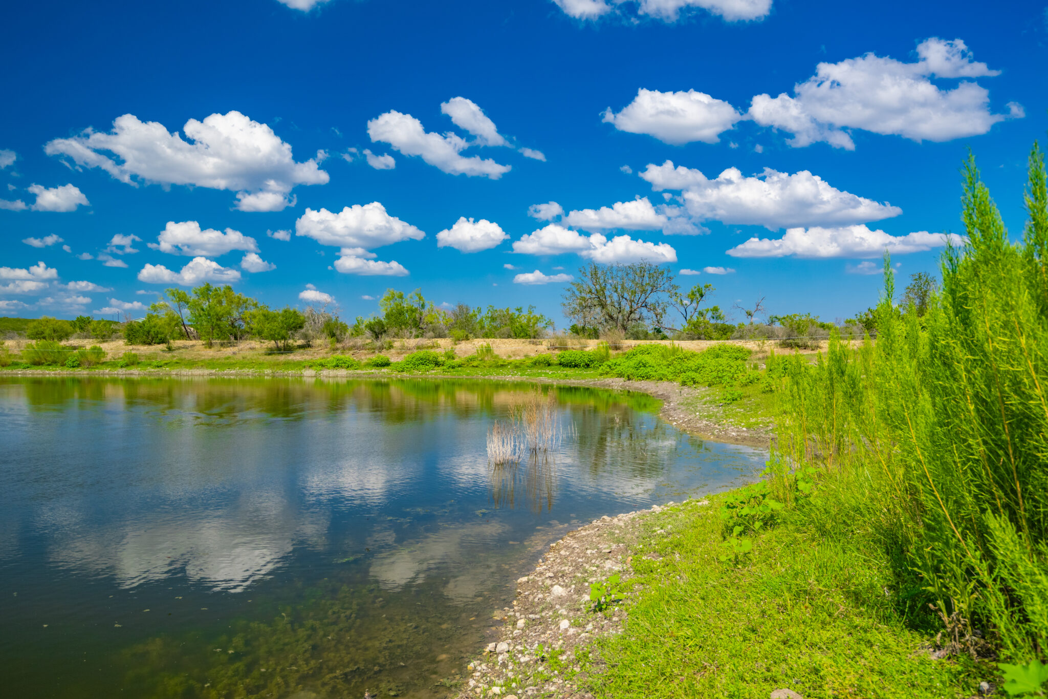 Navigating Lake Permits in Texas - Republic Ranches