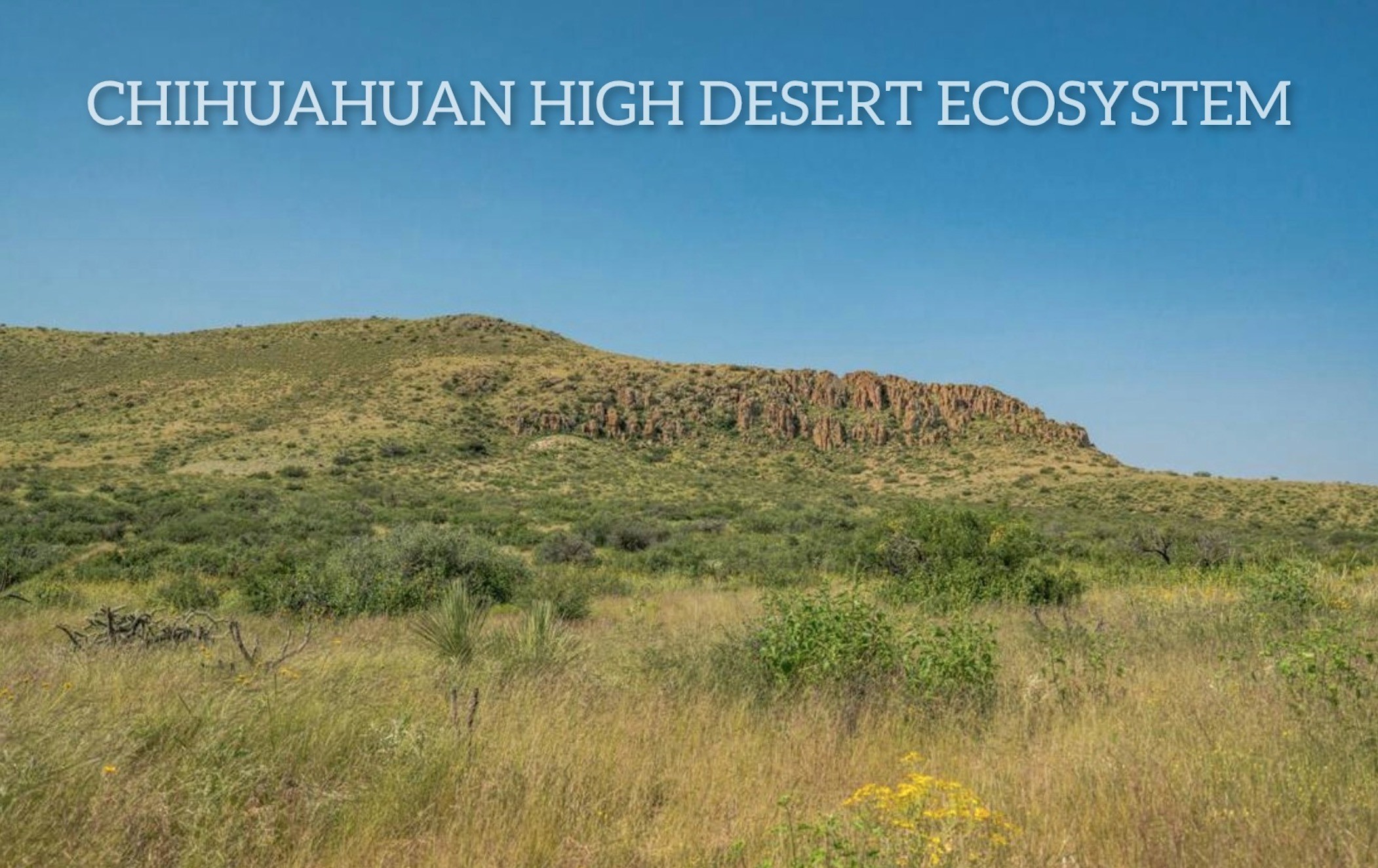 Chihuahuan High Desert Ecosystem - Republic Ranches